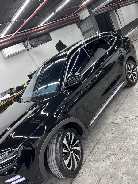 byd song chenpiyon 2023