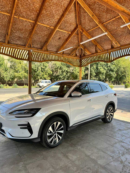 Byd song plus championship без пробег.
