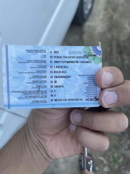 Damas 2021 top toza