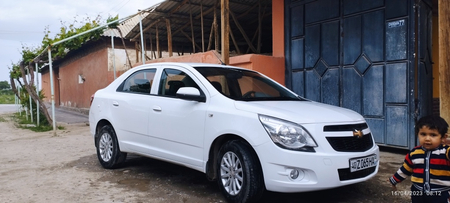 Taxi xizmati faqat kobalt lux kandisioner butun RESPUBLIKA  Bo‘ylab