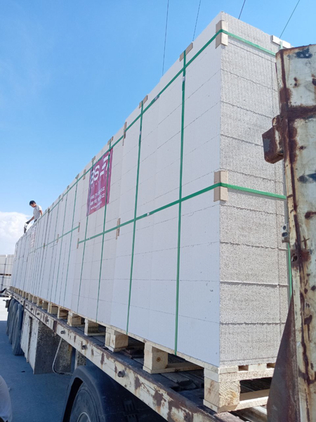 Газаблок 60*25*10