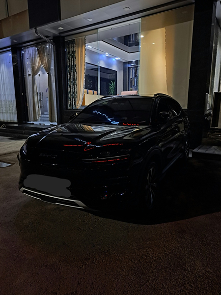 Chinpion song plus  ev flagship