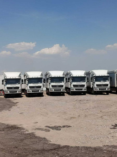 SHACMAN Shtorka  L-3000