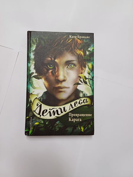 Книги Дети леса Катя Брондис