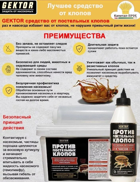 Отрава Гектор порошок от клопов тараканов насекомых лучшее средство