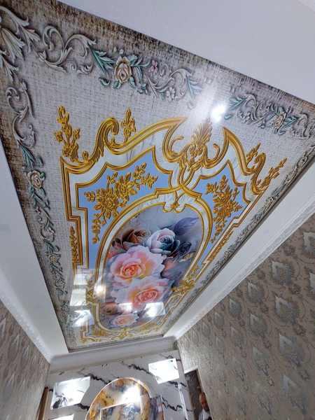 Natyajnoy Potolok