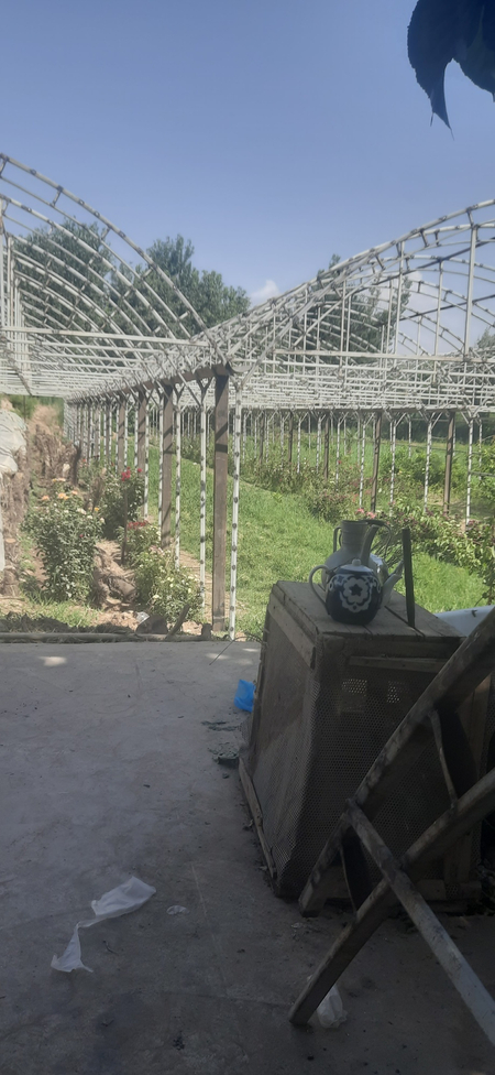 Issiq xona tom naves sortak quramiz uzbekiston boylab
