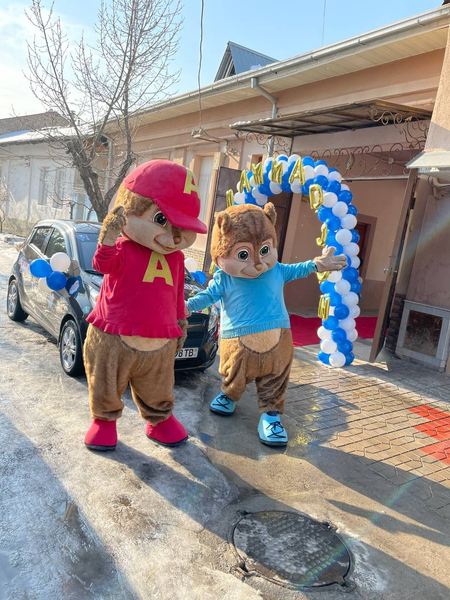 Ayiqchalar xizmati
