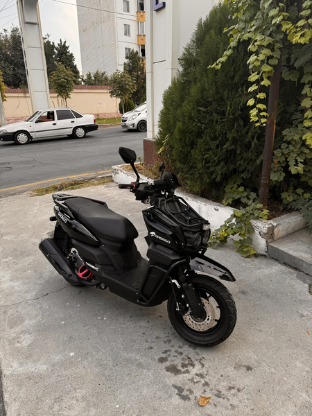 Танк (drongo)