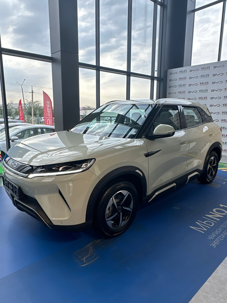 byd yuan up 2024