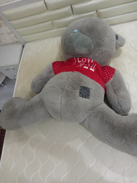 Teddy teddi teddiy har xil razmer