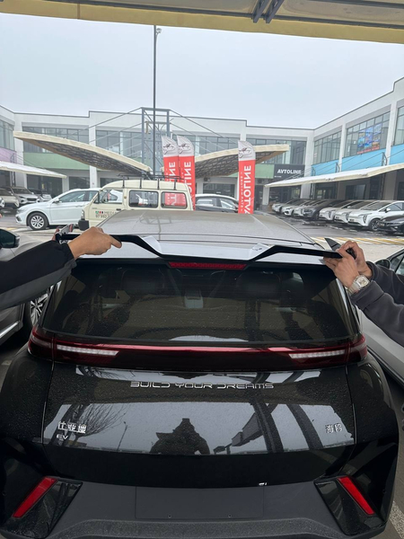Byd seagull spoller