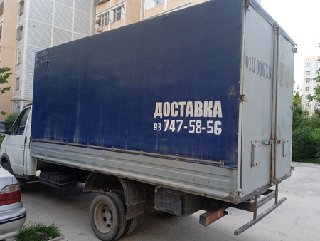 Gazel sotka sotiladi mator zver moy yemidi