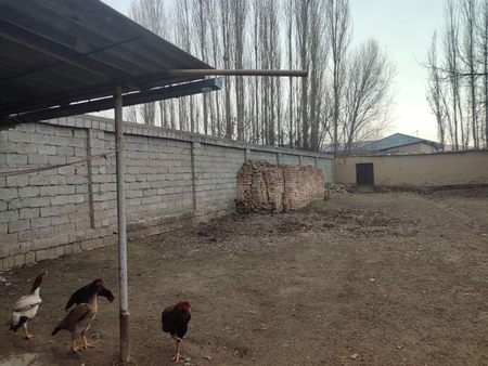 Yer sotiladi SROCHNA