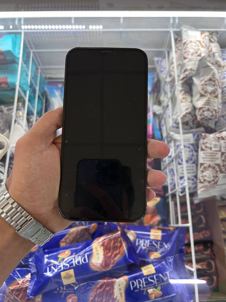 iPhone 12 pro max