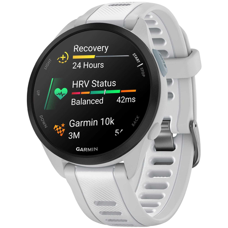 Спортивные часы Garmin Forerunner 165 Mist Gray/Whitestone с Amoled