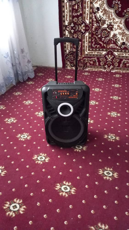 Большая колонка с микрофоном