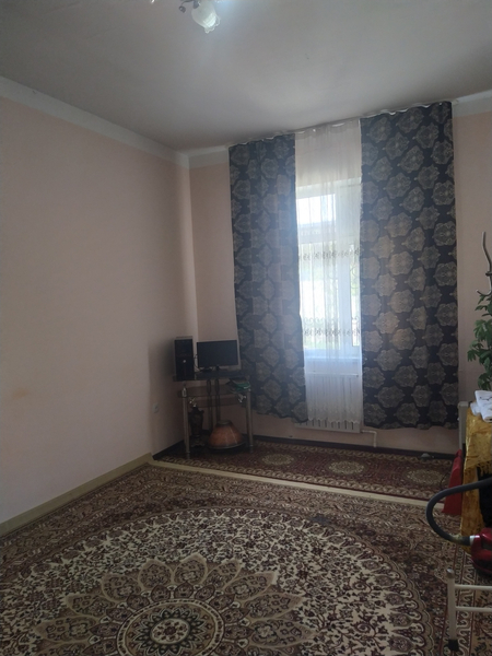Kotej 6 sotiq gulobod narxini kelishamiz