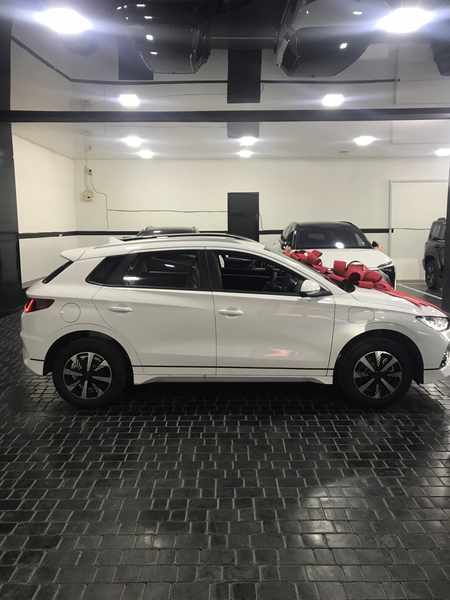 Byd e2 (elektro)