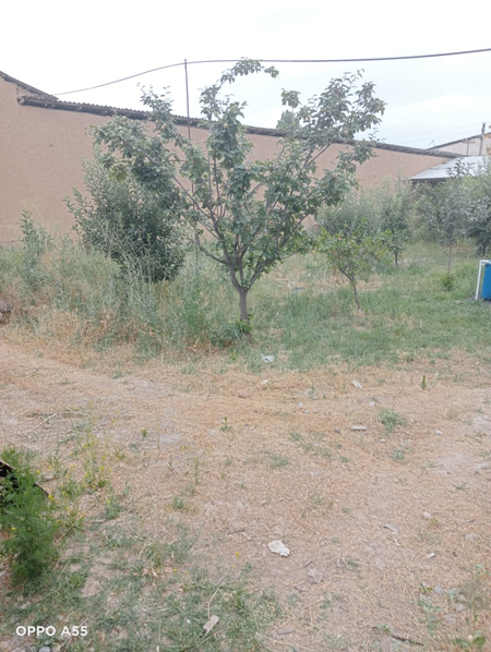 Yer sotiladi srochna aniq oladiganlar tel qisin bekorchilar tel qmasin
