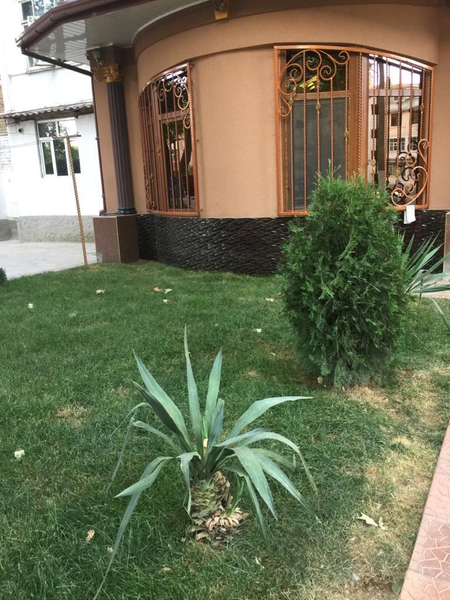 Продаётся своя 4х комнатная квартира в Янгиюле