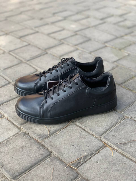 Ecco national koja