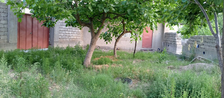 Сурхандарйо вилояти денов шахри
