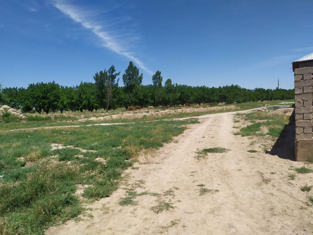Hovli sotiladi yerqurgon bozori orqasi