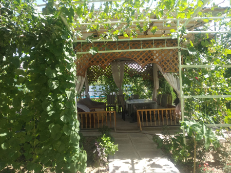 Dacha sotiladi hamma sharoitlari bilan