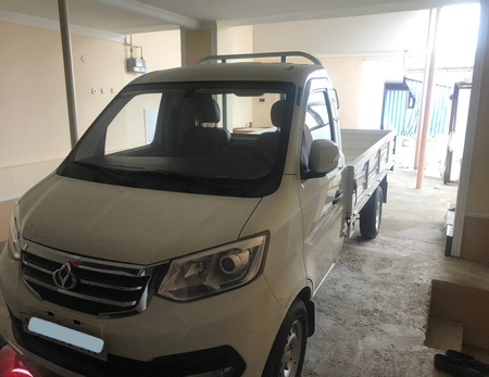 Changan bortliii