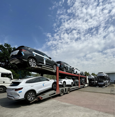 Byd chempion 2025 restayling sotuvda