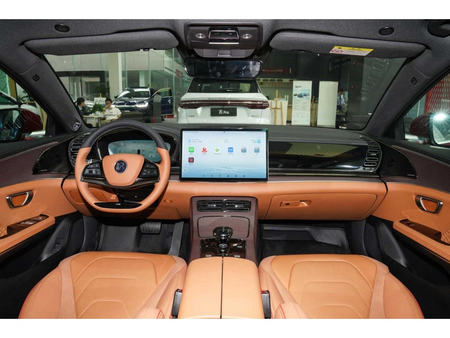 “Gonzo motors” BYD Han