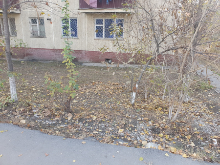 Квартира сотилади