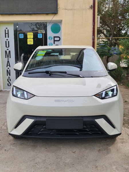 BYD Seagull full pozidsiya