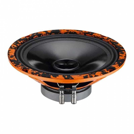 Dl Audio Gryphon Lite 200 v2 20см