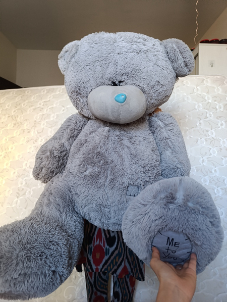 Teddy мишка новый 300