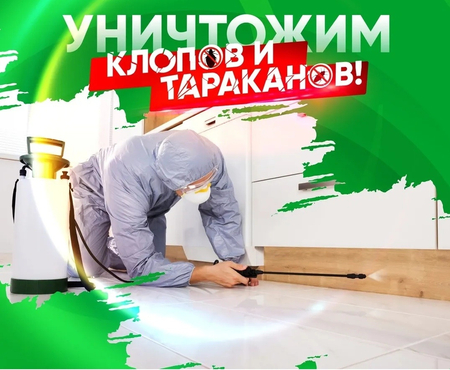 Дезинфекция, Дезинсекция, Dezinfeksiya, Деротизатция, и Дезодорация
