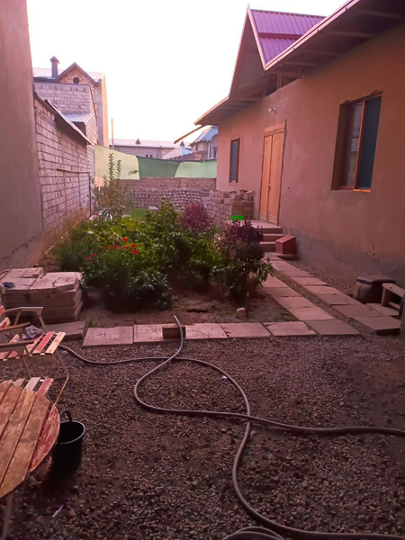 Дурмень хайдоробод