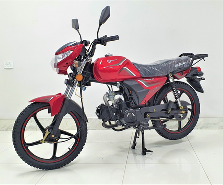 Новинка 2022года: Мопед Bikeland ALPHA (standard)