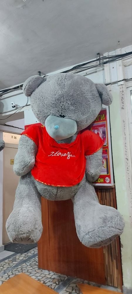 Teddy доставка по всему Узбекистану