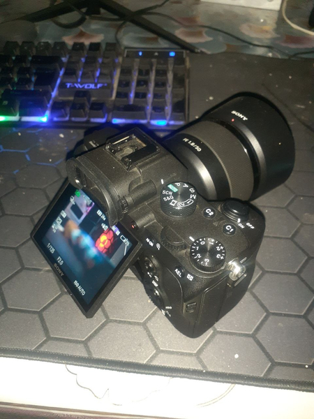 Camera Sony A7  F1.8 rasmga ham oladi