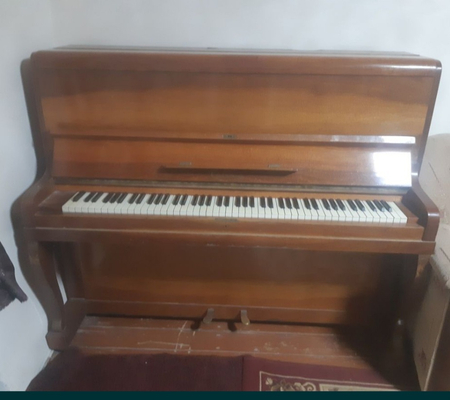 Calisia  pianino