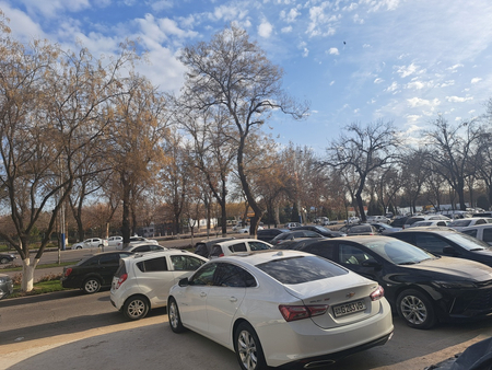 Своя Нежилое Дружба Народов  2/1/9 жой зур 295000уе