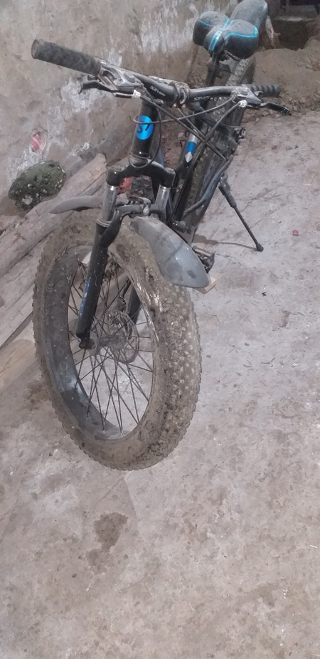 Velosiped arginali