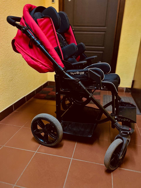 Специализированная детская Коляска Modi Buggy Liw(Польша)