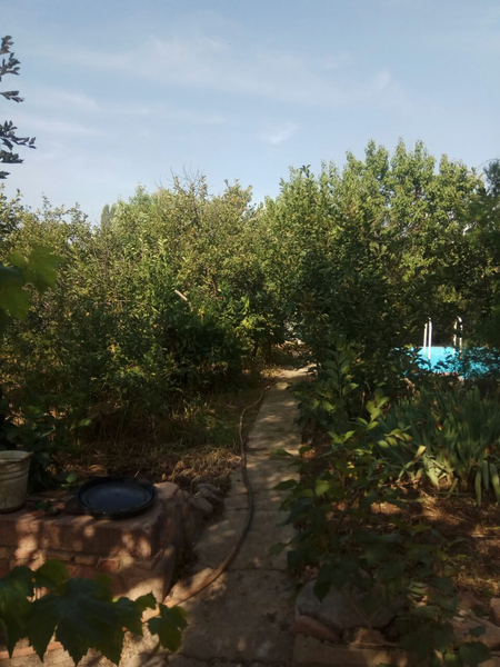 Дачный участок, 3шт (18 соток)
