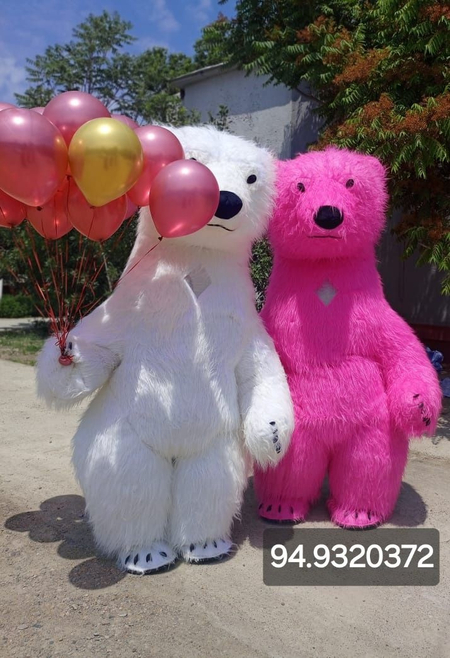 Teddy мишка, надувной мишка