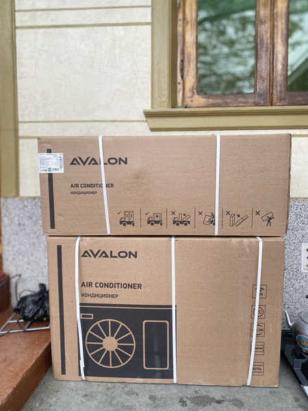 12 tali invektor avalon