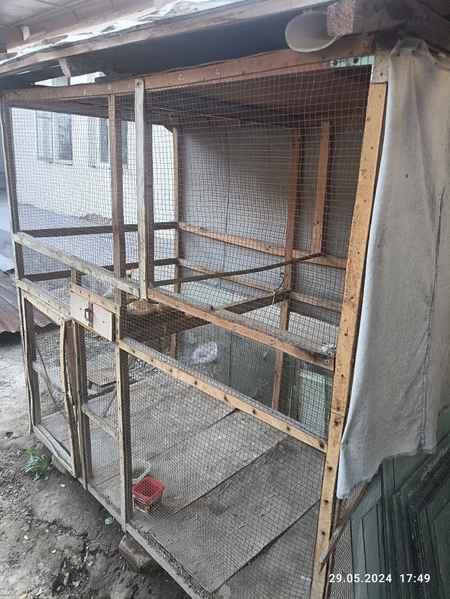 In bor baqvat zor in bitta kraska qivorish kere engide boladi