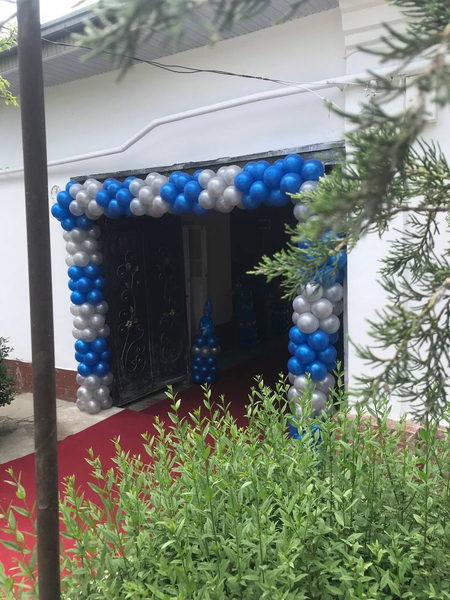 Ayiq va afarmileniya
